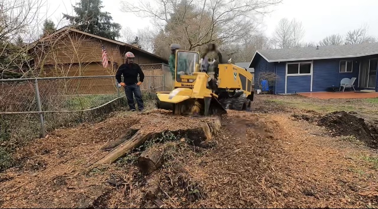 New Stump Grinder in Portland - Very Good Stump Grinding