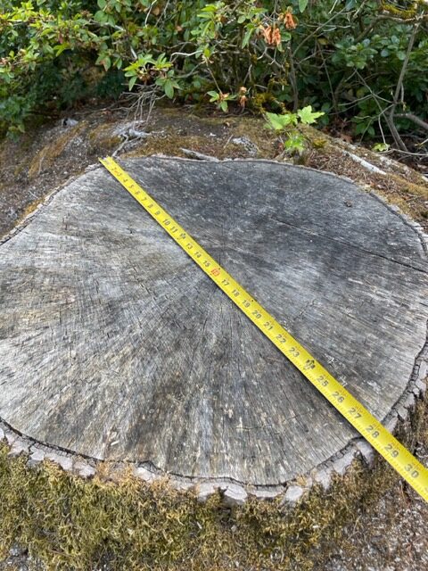 The Gift of Stump Removal - Very Good Stump Grinding